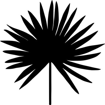 「Anahaw」の写真素材 | 407件の無料イラスト画像 | Adobe Stock