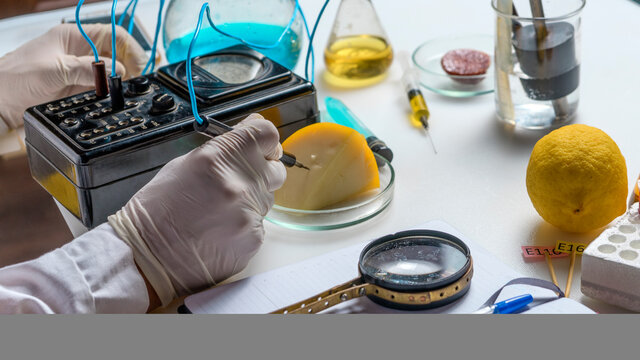 รูปภาพPtomaine – เลือกดูภาพถ่ายสต็อก เวกเตอร์ และวิดีโอ9,750 | Adobe Stock