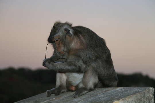 รูปภาพFreut – เลือกดูภาพถ่ายสต็อก เวกเตอร์ และวิดีโอ2,620 | Adobe Stock