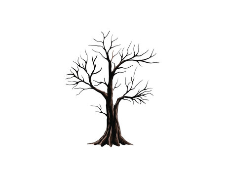 Dead Oak Tree Drawing