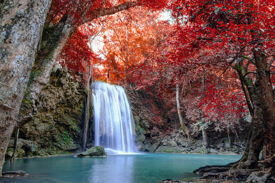 Animals Autumn Waterfall