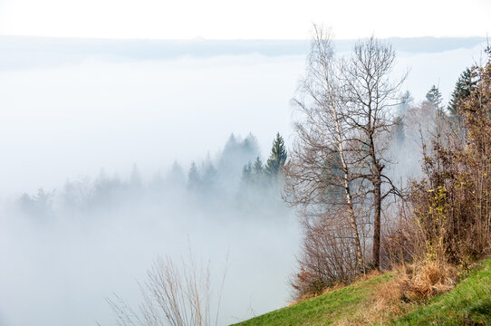 Gais bilder – Bläddra bland 1,206 stockfoton, vektorer och videor ...