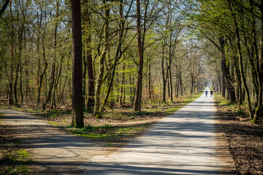 「Stadtwald」の画像 - 1,221 件の Stock 写真、ベクターおよびビデオ | Adobe Stock