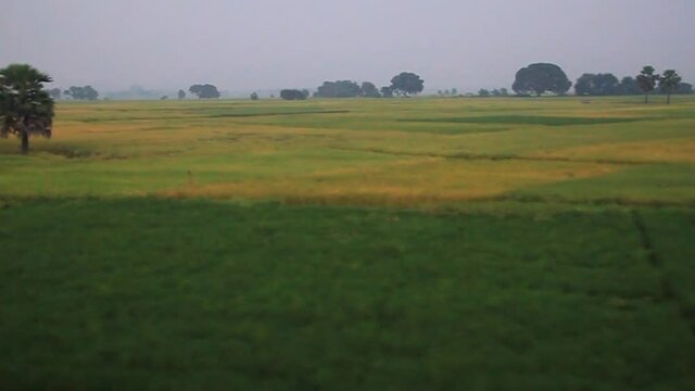 Bihar Images – Browse 5,519 Stock Photos, Vectors, and Video | Adobe Stock