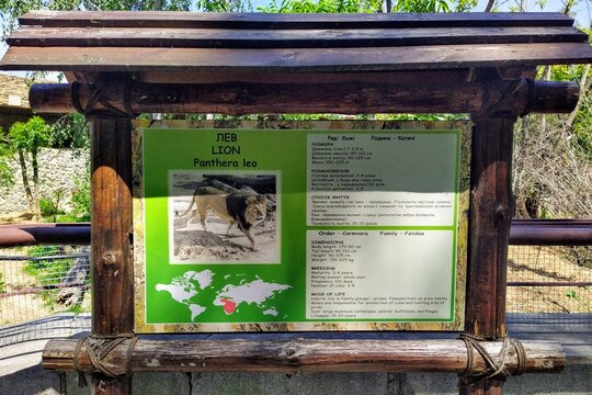 รูปภาพInfoboard – เลือกดูภาพถ่ายสต็อก เวกเตอร์ และวิดีโอ107 | Adobe Stock