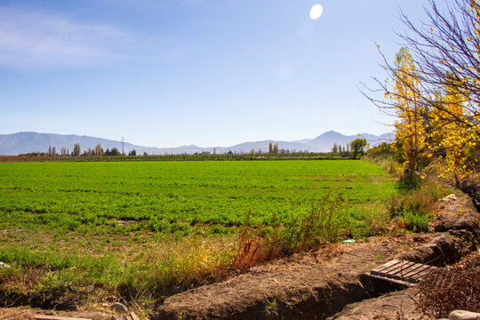 Imagens de Sembradio – Explore Fotografias do Stock, Vetores e Vídeos ...