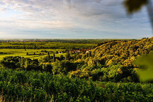 Burrweiler-Bilder: Stock-Fotos & -Videos. | Adobe Stock