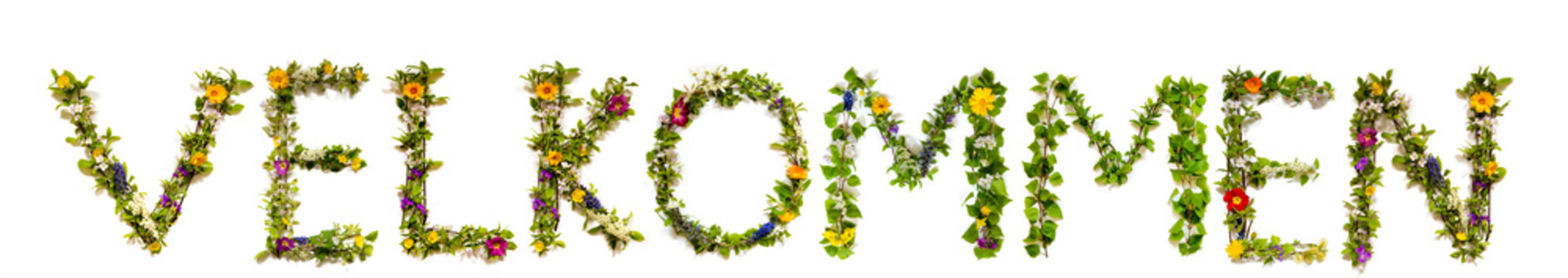 รูปภาพVelkommen – เลือกดูภาพถ่ายสต็อก เวกเตอร์ และวิดีโอ65 | Adobe Stock