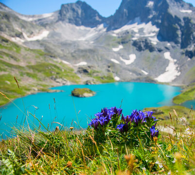 Zakan Bilder – Durchsuchen 135 Archivfotos, Vektorgrafiken und Videos ...