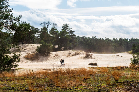Soesterduinen Images – Browse 224 Stock Photos, Vectors, and Video ...