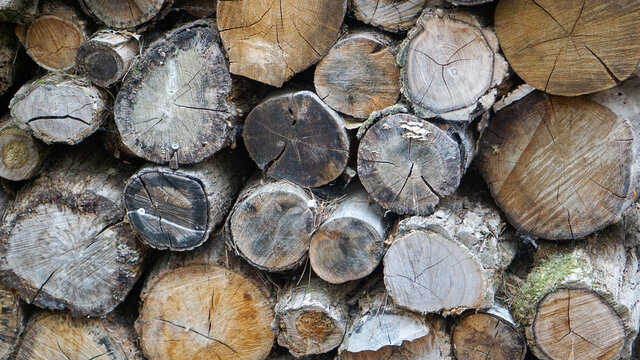 รูปภาพRondin – เลือกดูภาพถ่ายสต็อก เวกเตอร์ และวิดีโอ1,344 | Adobe Stock