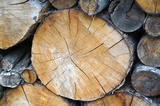 รูปภาพRondin – เลือกดูภาพถ่ายสต็อก เวกเตอร์ และวิดีโอ1,344 | Adobe Stock