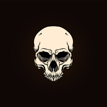 Free Skull Images – Browse 3,176 Free Stock Photos, Vectors, and Video ...