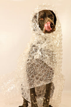 Kimberly photos, images, assets | Adobe Stock