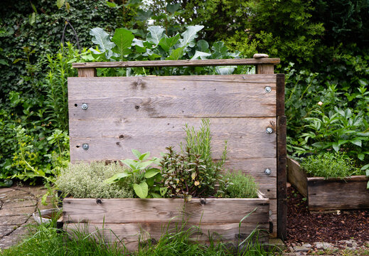 Snail Bed Bilder – Durchsuchen 722 Archivfotos, Vektorgrafiken und ...