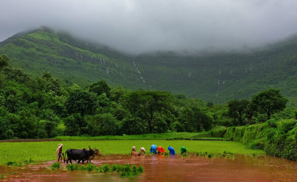 「Kokan」の写真素材 | 606件の無料イラスト画像 | Adobe Stock