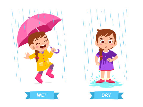 Opposite bilder – Bläddra bland 128,585 stockfoton, vektorer och videor ...