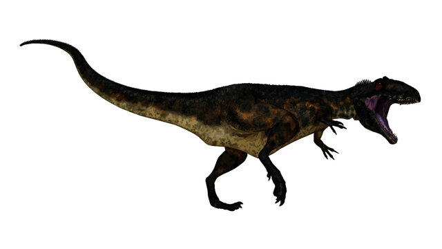 รูปภาพGiganotosaurus – เลือกดูภาพถ่ายสต็อก เวกเตอร์ และวิดีโอ568 ...
