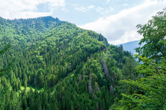Turngate Bilder – Durchsuchen 1,490 Archivfotos, Vektorgrafiken und ...