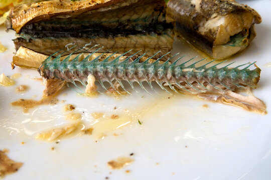 Garfish Bilder – Durchsuchen 4,621 Archivfotos, Vektorgrafiken und ...