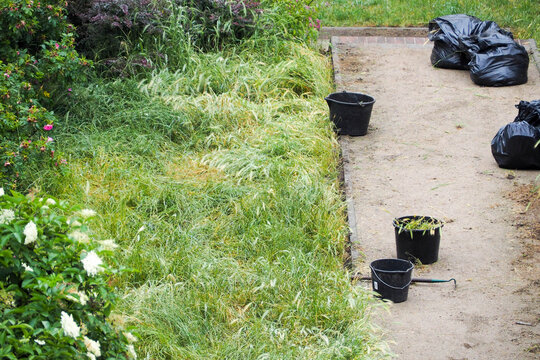 Rotzen-Bilder: Stock-Fotos & -Videos. | Adobe Stock