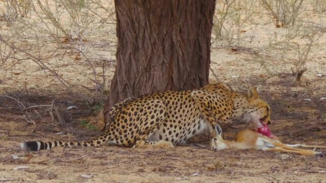 Springbook - Images et vidéos libres de droits | Adobe Stock