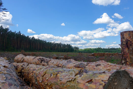 "Las Iglasty" Images – Browse 1 Stock Photos, Vectors, and Video ...