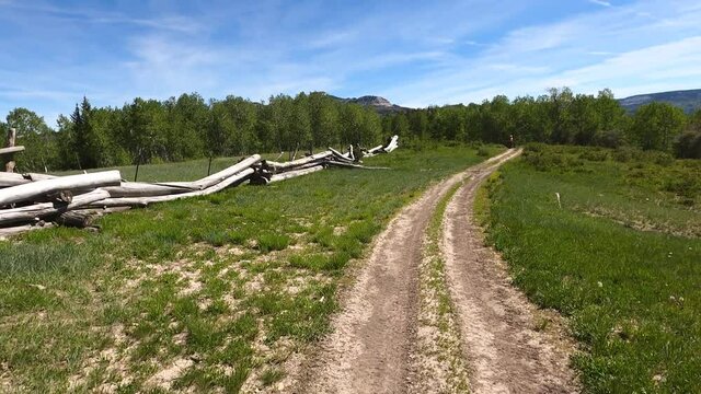 Trailblazers Images – Browse 909 Stock Photos, Vectors, and Video ...