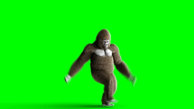 Gorilla Dancing Memes