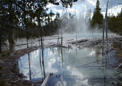 "Cistern Spring" 影像 – 瀏覽 34 個素材庫相片、向量圖和影片 | Adobe Stock