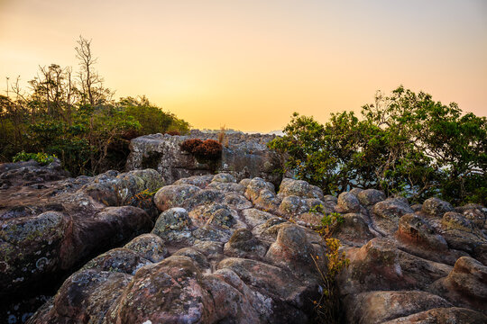 Lom bilder – Bläddra bland 4,835 stockfoton, vektorer och videor ...