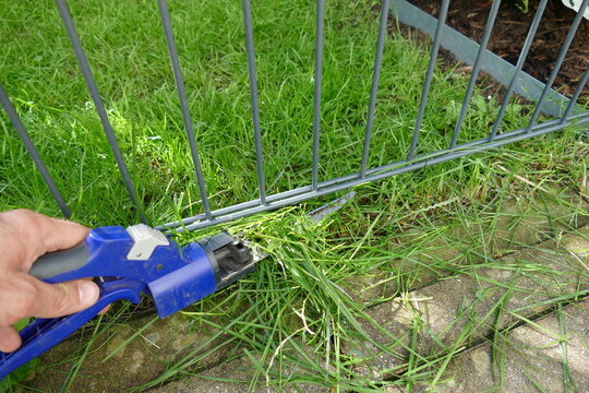 Scherung Bilder – Durchsuchen 321 Archivfotos, Vektorgrafiken und ...