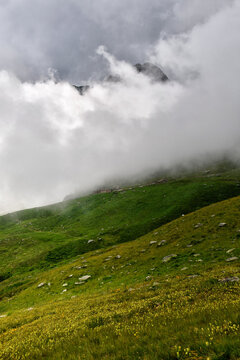 รูปภาพMucrone – เลือกดูภาพถ่ายสต็อก เวกเตอร์ และวิดีโอ121 | Adobe Stock