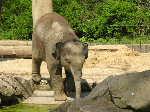 รูปภาพHauer – เลือกดูภาพถ่ายสต็อก เวกเตอร์ และวิดีโอ6,146 | Adobe Stock