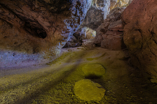 รูปภาพUrmensch – เลือกดูภาพถ่ายสต็อก เวกเตอร์ และวิดีโอ204 | Adobe Stock