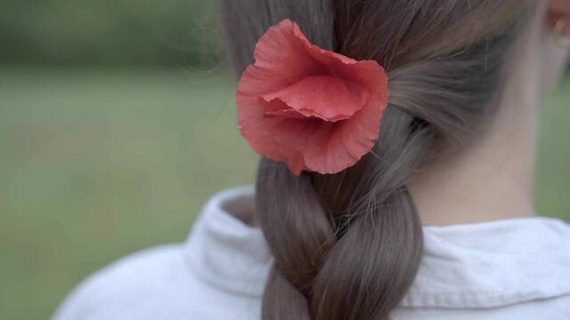 Cifer Imagens – Procure 139 fotos, vetores e vídeos | Adobe Stock