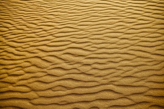 "Sand Dune Ripples" Images – Browse 304 Stock Photos, Vectors, and ...