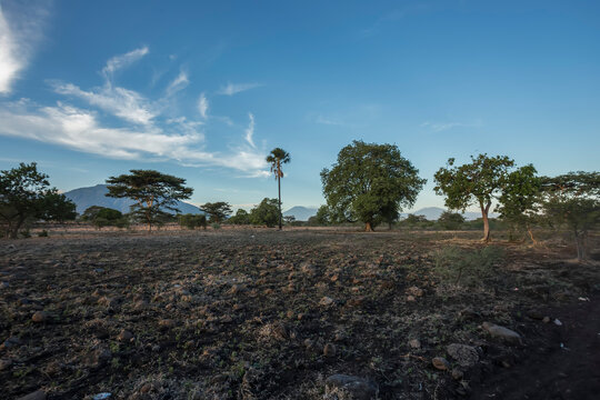 "Baluran National Park" Images – Browse 250 Stock Photos, Vectors, and ...