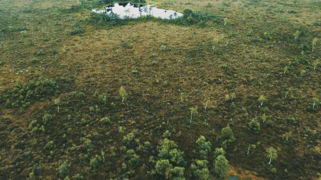 "Raised Bog"-Bilder: Stock-Fotos & -Videos. | Adobe Stock