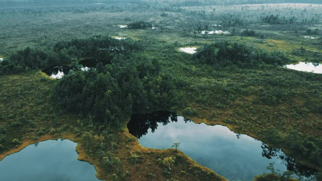 "Raised Bog"-Bilder: Stock-Fotos & -Videos. | Adobe Stock