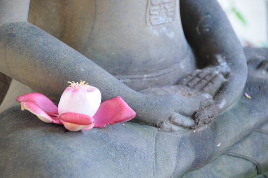 "Buddha Hands" Images – Browse 199 Stock Photos, Vectors, and Video ...