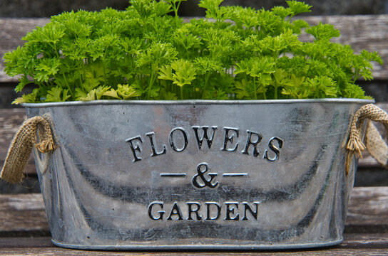 Blechtopf Bilder – Durchsuchen 897 Archivfotos, Vektorgrafiken und ...