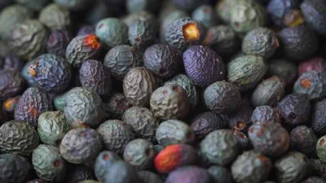 Tellicherry Images – Browse 200 Stock Photos, Vectors, and Video ...