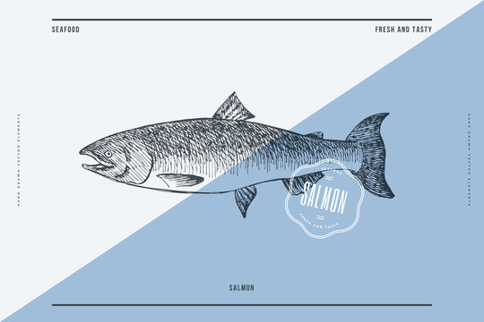 Salmon Etching Images – Browse 5,539 Stock Photos, Vectors, and Video ...