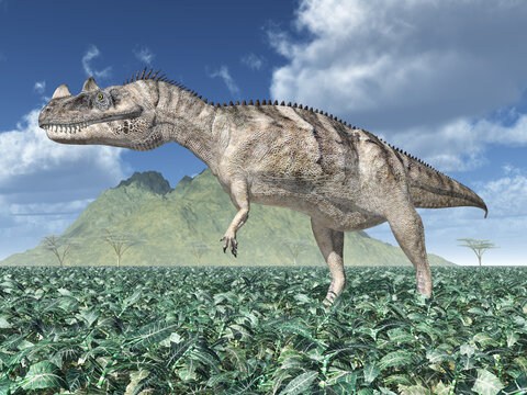 Saurier Bilder – Durchsuchen 2,335 Archivfotos, Vektorgrafiken und ...