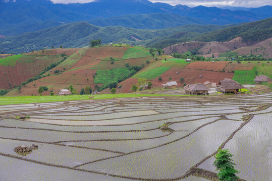 udom photos, images, assets | Adobe Stock