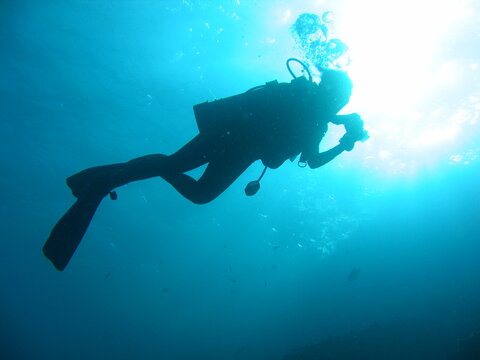 Buzo Imagens – Procure 2,273 fotos, vetores e vídeos | Adobe Stock