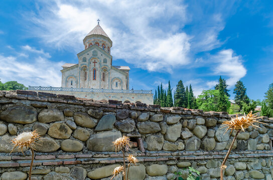 Signakhi bilder – Bläddra bland 3,607 stockfoton, vektorer och videor ...