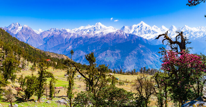 "Khaliya Top"-Bilder: Stock-Fotos & -Videos. | Adobe Stock