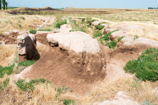 รูปภาพBalasagun – เลือกดูภาพถ่ายสต็อก เวกเตอร์ และวิดีโอ161 | Adobe Stock